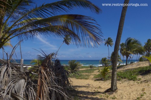 Aldeia Hippie de Arembepe – Laura Restrepo Ortega