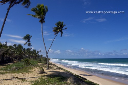 Aldeia Hippie de Arembepe – Laura Restrepo Ortega