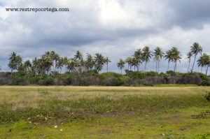 Aldeia Hippie de Arembepe – Laura Restrepo Ortega